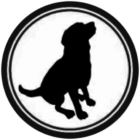 UPS Address Corrections: What you need to know