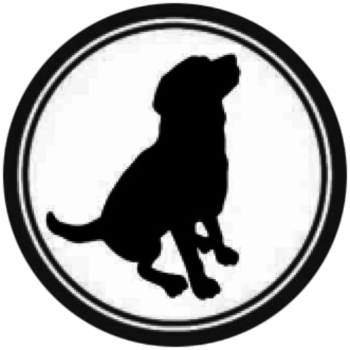 What is a UPS SurePost package?